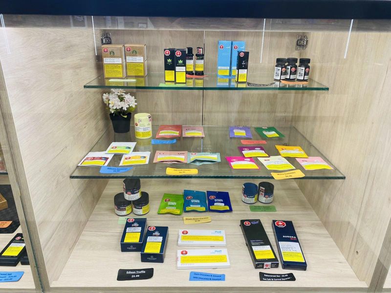 Home | Cannabis Discounter